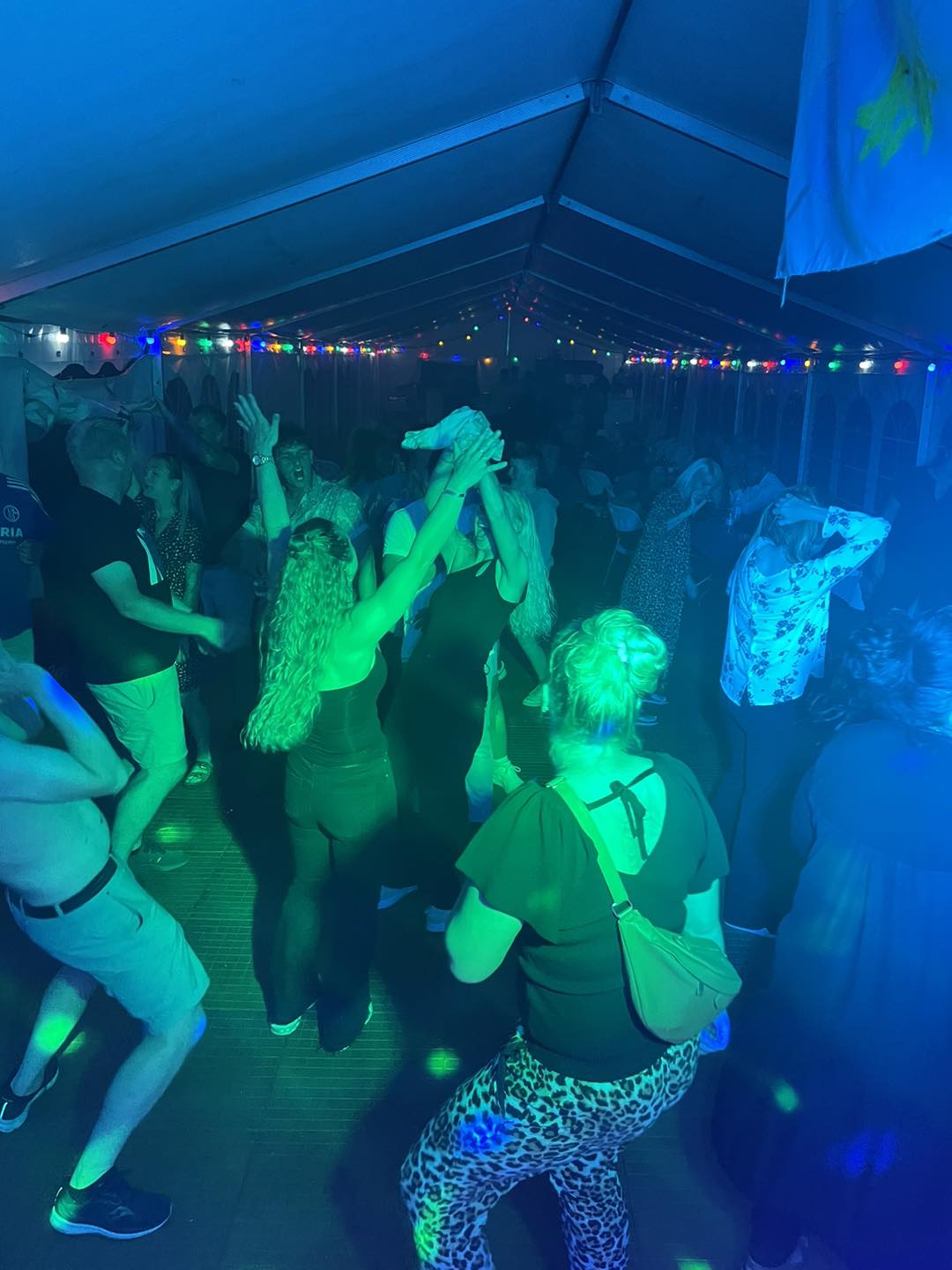 Galleri :: Step N Step